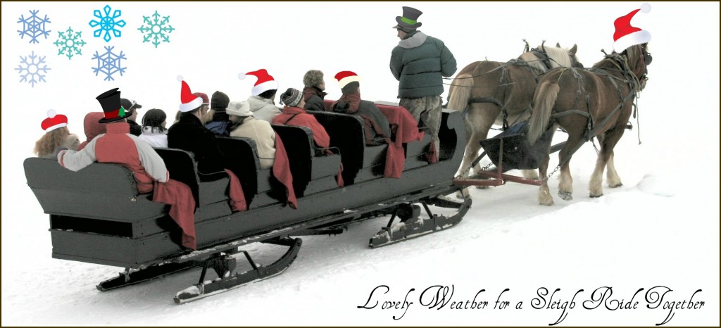 What do YOU do on a Sleigh Ride? - Developing Melodies Pediatric ...